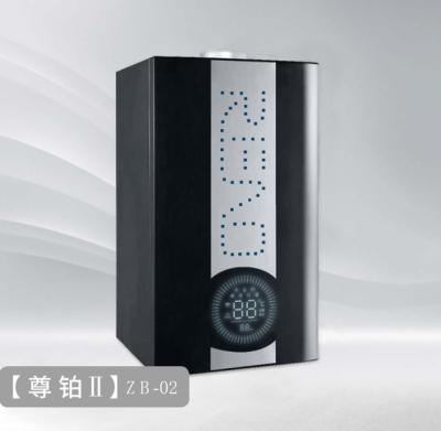 China Small Body Wall Mounted Condensing Gas Boiler 20-24kW Environmental Health for sale