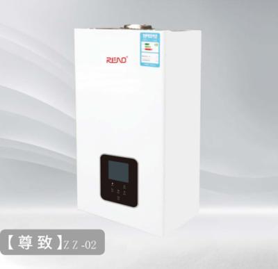 China 20kW 40kW Natural Gas LPG Combination Boiler Wall Mounted Boiler 220V 50Hz for sale