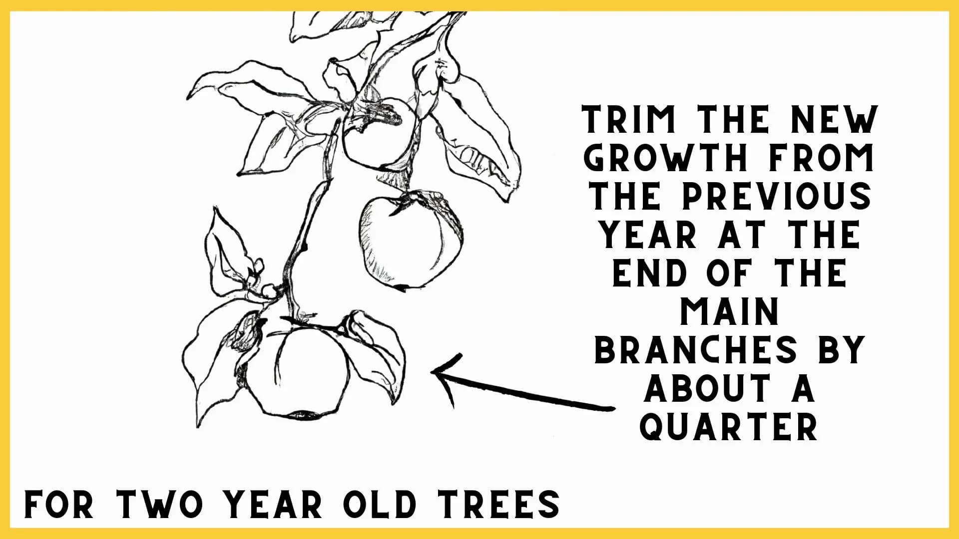 cordless pruning shears