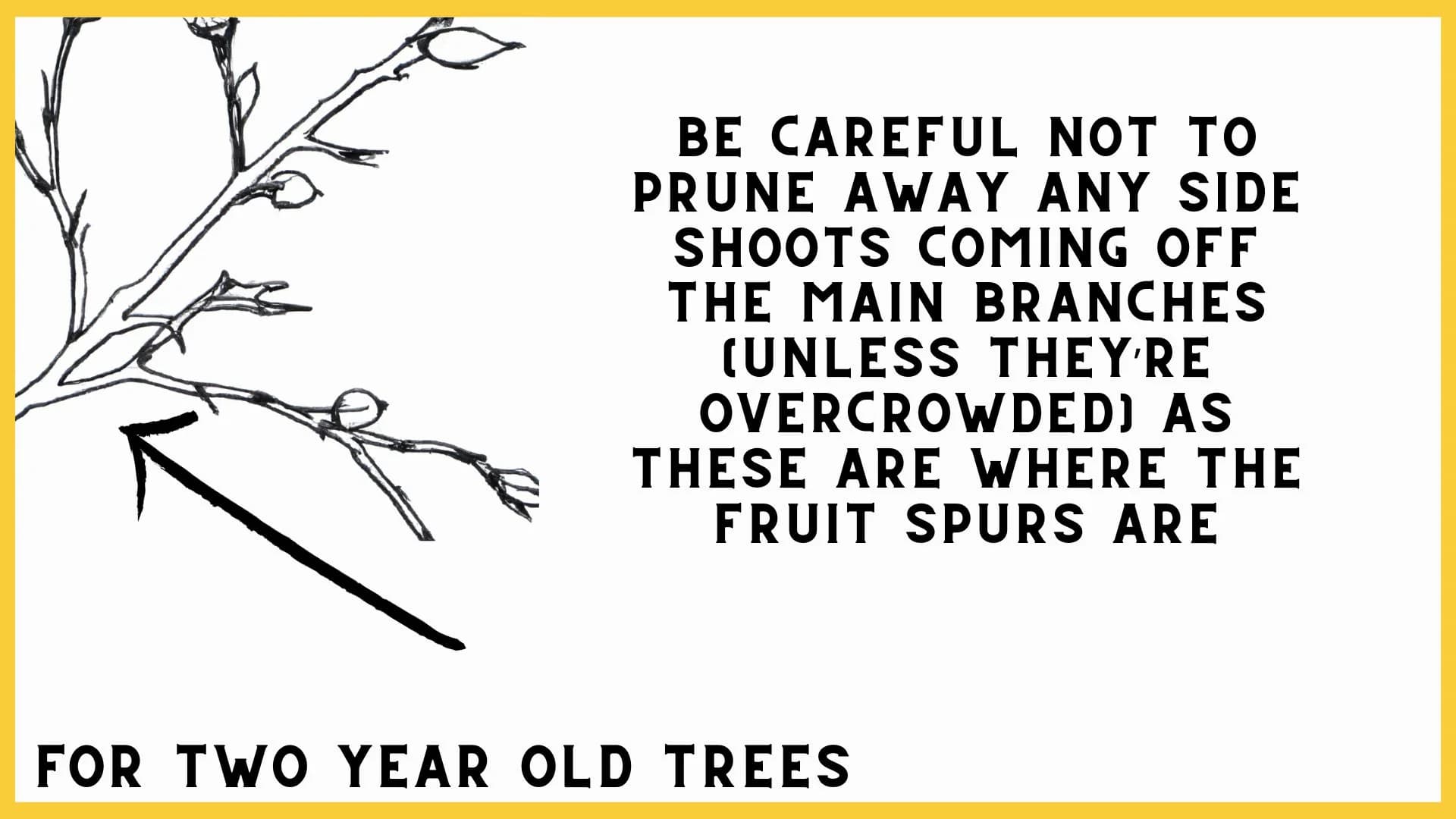 electric pruners
