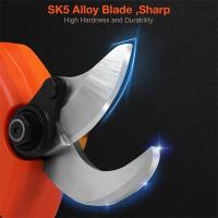 China Versatile Garden Cordless Pruning Shears With SK5 Heavy Duty Blades for sale