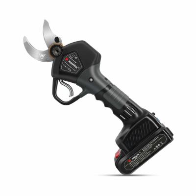 China Heavy Duty Battery Powered Pruning Shears With 2 Pack Rechargeable Lithium Batteries for sale