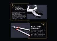 China Elbow Tree Branch Shears Scissors Telescopic Aluminum Alloy Material for sale