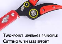 China Chrome Plated Bypass Telescoping Pole Pruner For Fruit Tree Picking for sale