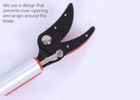 China Chrome Plated Bypass Telescoping Pole Pruner For Fruit Tree Picking for sale