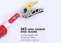 China Chrome Plated Bypass Telescoping Pole Pruner For Fruit Tree Picking for sale