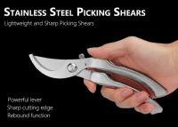 China Elbow Shape Bypass Pruning Shear Pruner With Precision Blade For Gardening Trimming Plant Tree Flower for sale