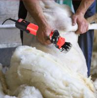 China ABS Handle Handheld Electric Clipper Sheep Animal Wool Goat Hair Cutting Trimmer for sale