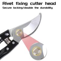 China Black Handle Fruit Cutting Durable Professional Pruner Garden Scissors for sale