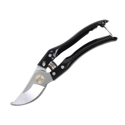 China Black Handle Fruit Cutting Durable Professional Pruner Garden Scissors for sale