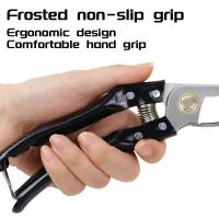China Black Handle Fruit Cutting Durable Professional Pruner Garden Scissors for sale