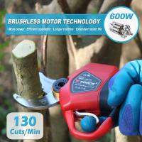 China Cordless Electric Pruner Tree Branch Cutter with 2pcs 2Ah Lithium Batteries 1.57 inch 40mm Cutting Diameter for sale
