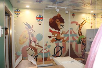China 1200 X 2100mm Door Shielding Project Rf Shielding Mri For Medical Institution for sale