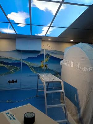 China 300LX Illumination Mri Copper Shielding UMR 790 Soundproofing Magnetic Shielding In Mri for sale