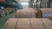 China Alloy Prepainted Aluminum Coil Cold Rolled Color Coated Surface with 8-35 Microns SGS Certified for sale