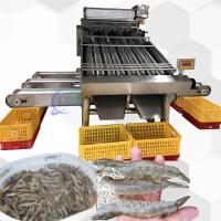 China 3P Multiscene Shrimp Grading Machine Automatic Multi Function for sale