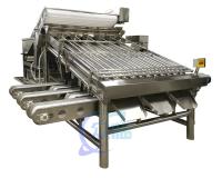 China Small Stable Shrimp Grading Machine Multiscene For Fish Sorting for sale