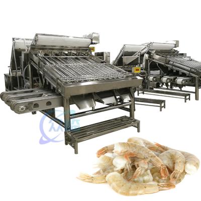 China Industrial Shrimp Grading Machine Anti corrosion Multipurpose for sale