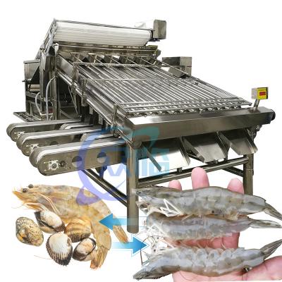 China Stainless Steel Shrimp Grading Machine Practical 6000x4000x2200mm for sale