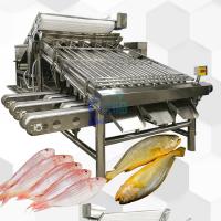 China Automatic Fish Grading Machine 4900W Multipurpose Anti Erode for sale