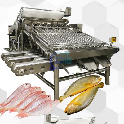 China Automatic Fish Grading Machine 4900W Multipurpose Anti Erode for sale