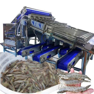 China Industrial Prawn Sorting Machine Multiscene Waterproof Automatic for sale
