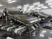 China 3P Durable Prawn Grading Machine , Anti Erosion Shrimp Sorting Equipment for sale