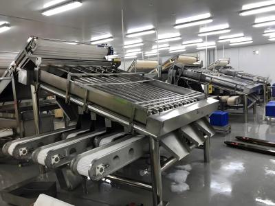 China 3P Durable Prawn Grading Machine , Anti Erosion Shrimp Sorting Equipment for sale