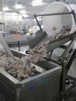 China Durable 2200W Seafood Processing Equipment Wear Resistant 300KG for sale