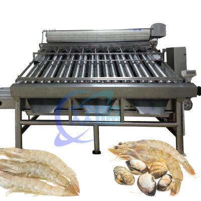 China 380V 50Hz Shrimp Grading Machine Multifunctional For Prawn Sizing for sale