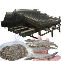 China Multifunctional Shrimp Grading Machine Durable Stainless Steel for sale