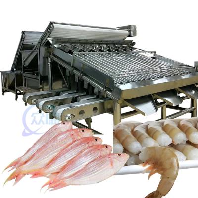 China ISO 1500KG Seafood Sorting Machine , Multifunctional Fish Size Sorter for sale