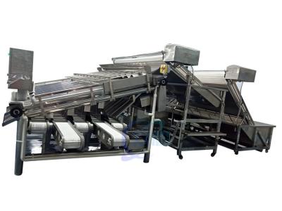 China 4900W Shrimp Grading Machine Roller Control Anti Erosion Automatic for sale