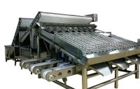 China Roller Shrimp Grading Machine Multipurpose Stainless Steel Material for sale