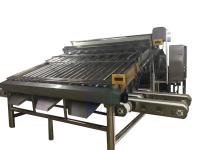 China Durable 4.9KW Shrimp Grading Machine Automatic For Prawn Sizing for sale