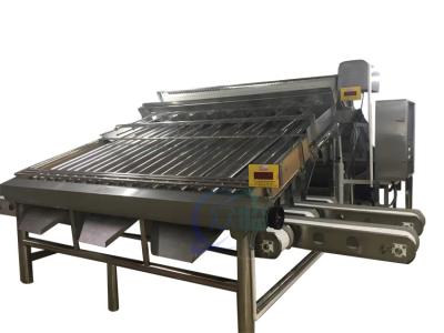 China Durable 4.9KW Shrimp Grading Machine Automatic For Prawn Sizing for sale