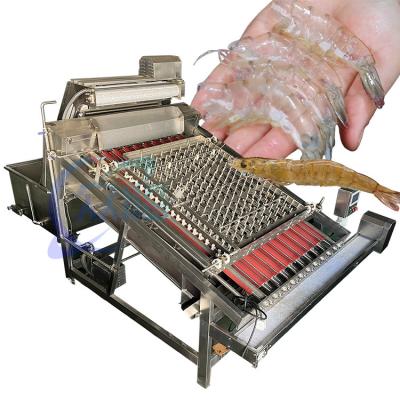 China Industrial Prawn Deshelling Machine 3000W Stainless Steel 304 for sale