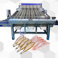 China Automatic Fish Classify Machine With 12 Roller Automatic Fish Classifier For 4-5 Sizes for sale