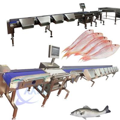China Pelagic Fish Grading Machine Pelagic Fish Weight Grader 120-150pcs/min for sale