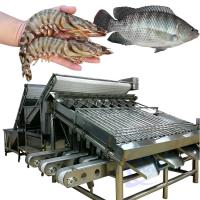 China Automatic Shrimp Sorting Machine For Shrimp Peeling Fresh Prawn Washing Rolling Sorting Machine Shrimp Grader for sale