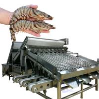 China Seafood Shrimp Processing Classifier Automatic Fast Fish Shrimp Size Classifier Shrimp Production Line Screening Machine for sale