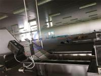 China Stainless Steel Seafood Processing Equipment Fish And Shrimp Speed Controller High Pressure Bubble Cleaner for sale
