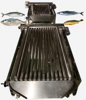 China Four Styles Automatic Mackerel Grading Line And Sorting Pelagic Fish Equipment for sale