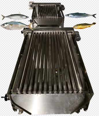 China Four Styles Automatic Mackerel Grading Line And Sorting Pelagic Fish Equipment for sale