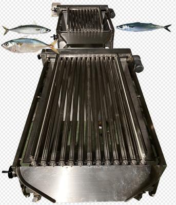 China Four Styles Automatic Fish Grading Line And Soring Mackerel Machine for sale