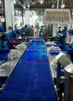 China New Design Shrimp Stretching Line, Tempura Processing Line, NOBASHI Processing for sale
