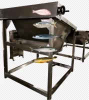 China Four Styles Automatic Fish Sorting Line And Sizing Mackerel Line With 5-10T/H for sale