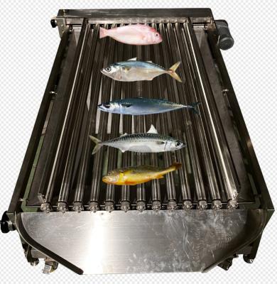 China High Quality PLC Control Fish Grading Line For Sorting Small Fish With Automatic for sale