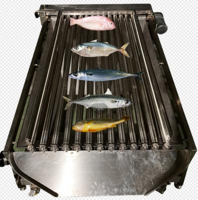 China Capacity 5-10T/H Fish Automatic Sorting Machine, Sizing Small Fish And Grading Ocean for sale