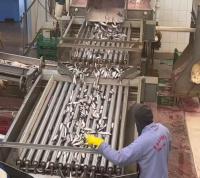 China 4 Models Automatic Fish Grader And Sorting Small Fish Line With 5-10T/H for sale